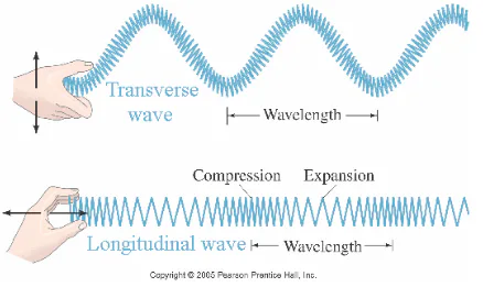 Light and Sound Wave Review 8th Grade Quiz | Quizizz