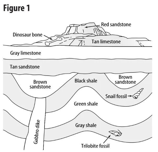 Reinforcement - Relative Age of Rocks 6th Grade Quiz | Quizizz