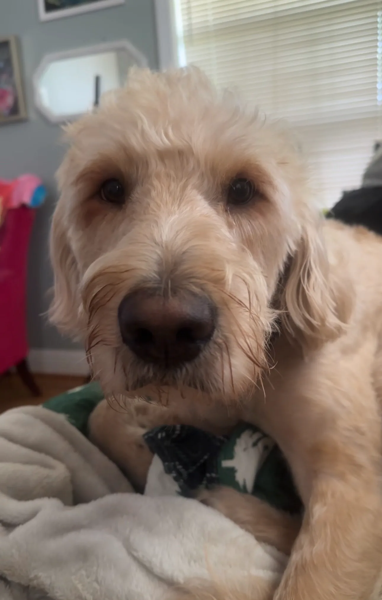 Ben and the Emancipation Proclamation 3-2 Quiz