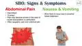 Small Bowel Obstruction (SBO) Signs & Symptoms, & Why They Occur ...