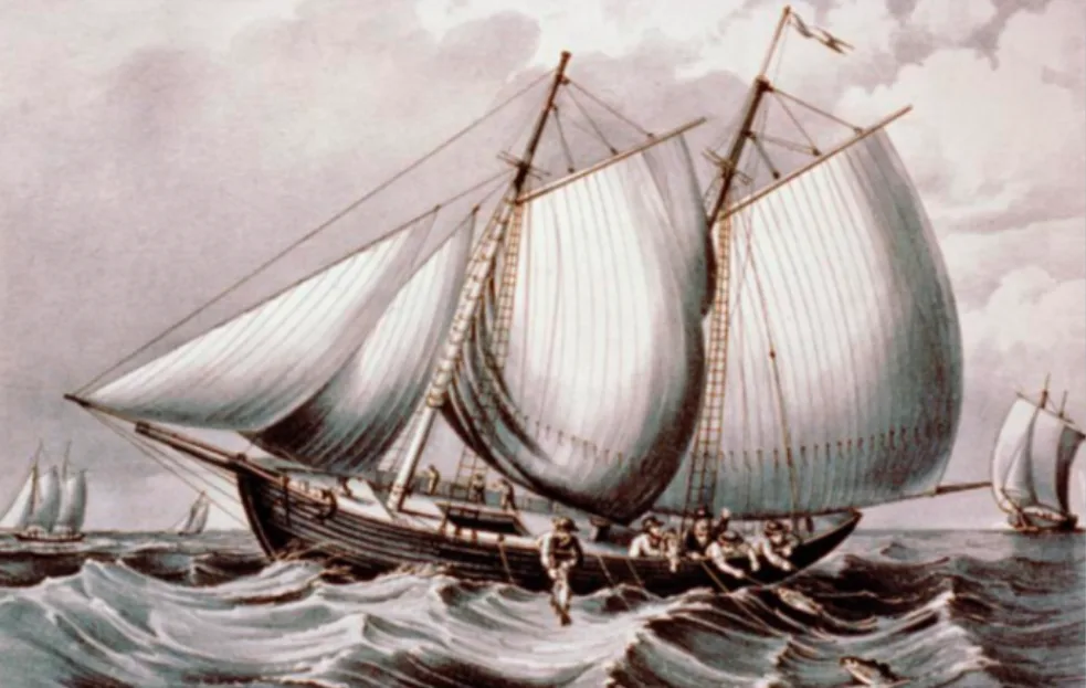 13 Colonies Review 3rd Grade Flashcard | Wayground