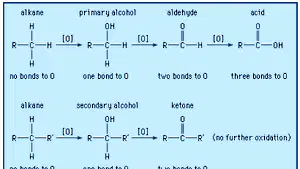 Oxidation State Sheet - Negative Ions (Anions) 10th Grade Quiz | Wayground