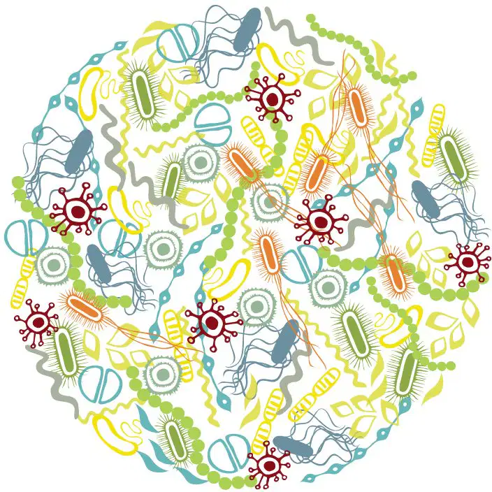 microbes 5th Grade Quiz | Quizizz
