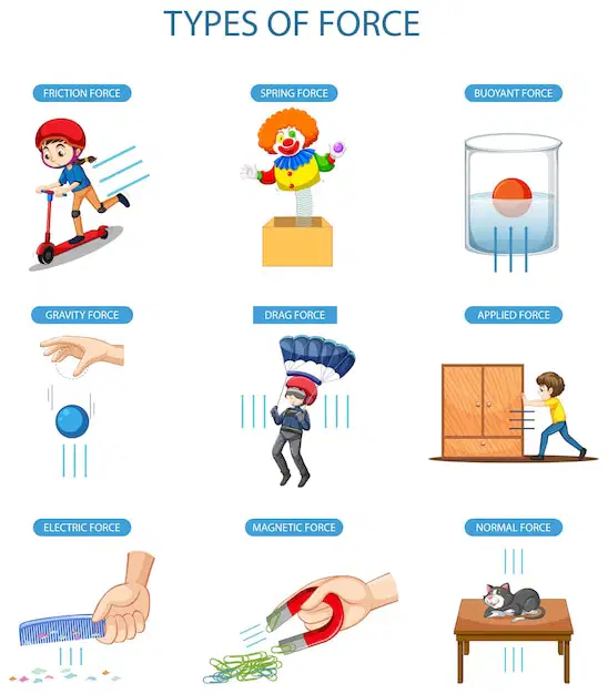 Level 3: Understanding Forces and Net Force 6th Grade Flashcard ...