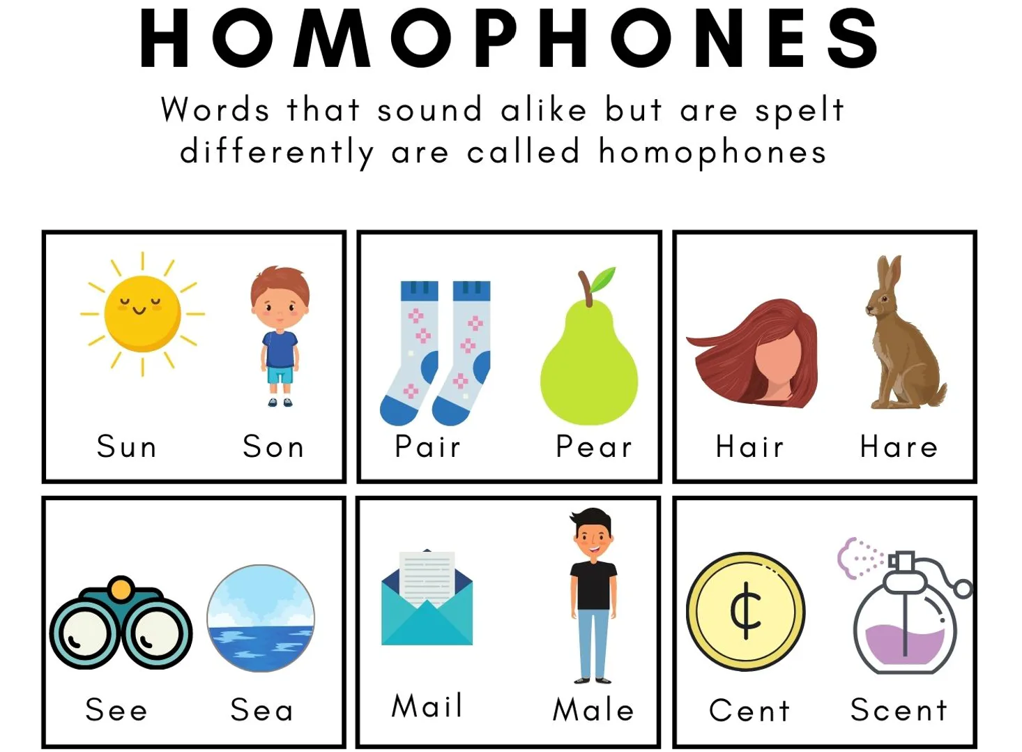 Homophone Affect Effect 8th Grade Quiz | Wayground (formerly Quizizz)