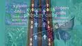 Life Science: Xylem and Phloem 1st - 6th Grade Video | Quizizz