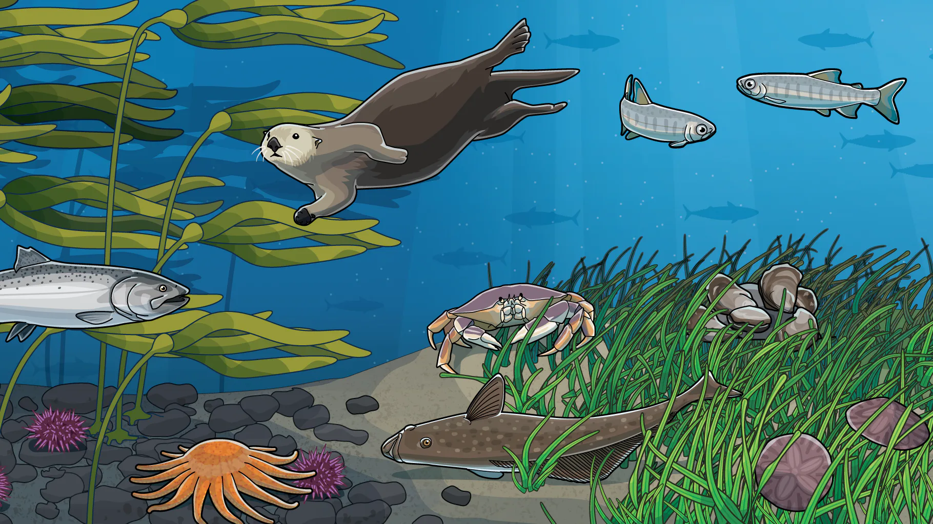 Flow of Energy/Cycle of Matter 7th Grade Quiz | Quizizz