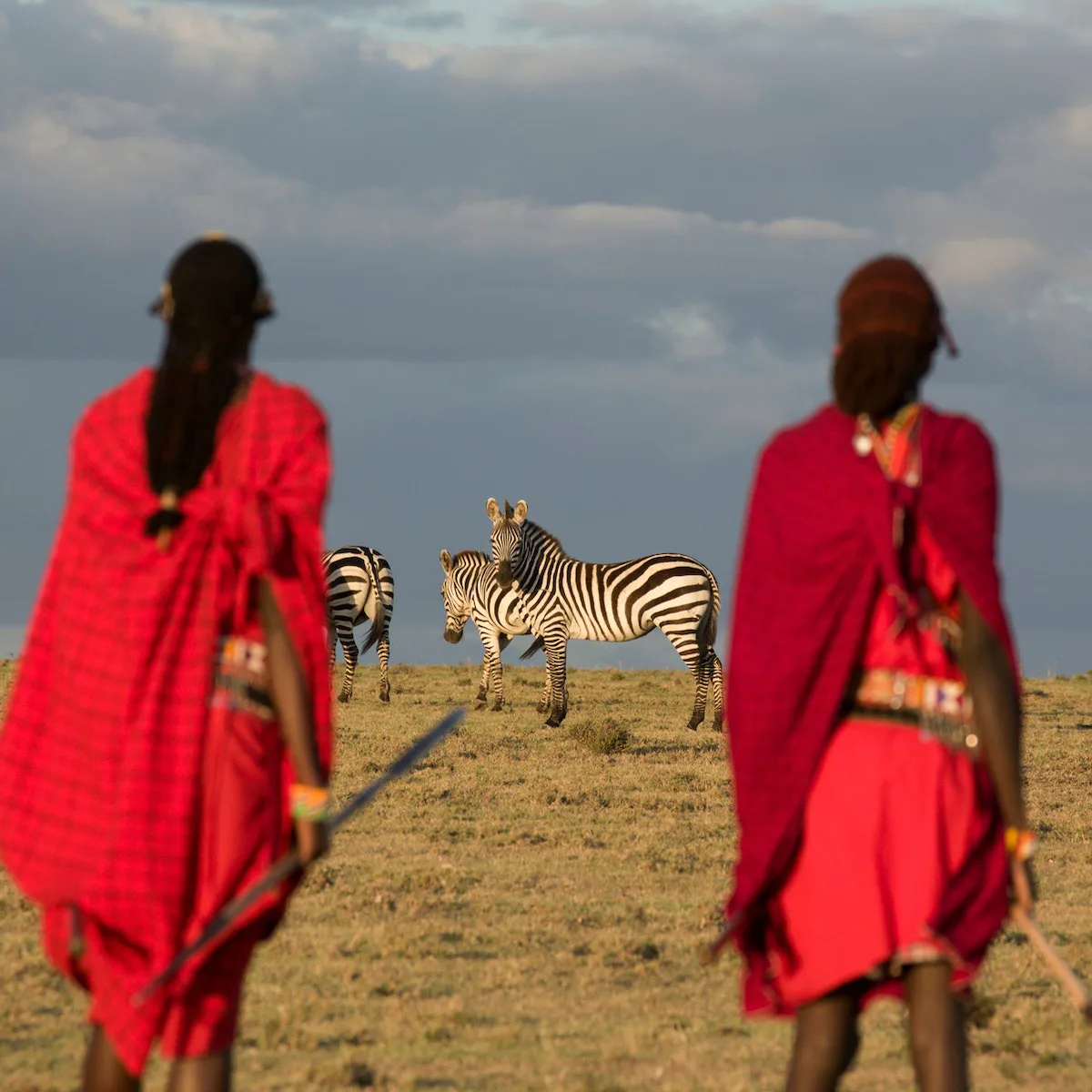 Maasai Mara Game Reserve - Impact of tourism Quiz Quiz