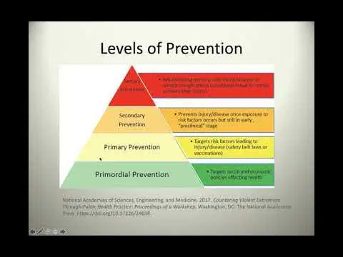 Quiz Ecological triangle and levels of prevention 12th Grade Quiz | Quizizz