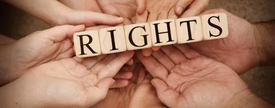 Studies Weekly Week 19 Rights and Responsibilities 2nd Grade Quiz ...