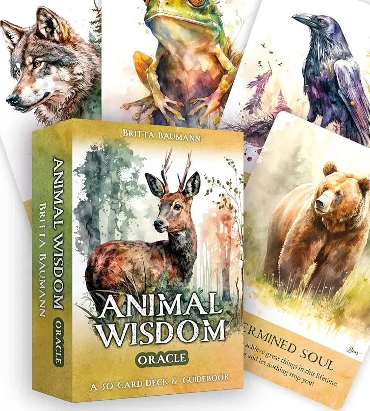 Animal Wisdom and The Last Wolf Flashcard 6th Grade Flashcard ...