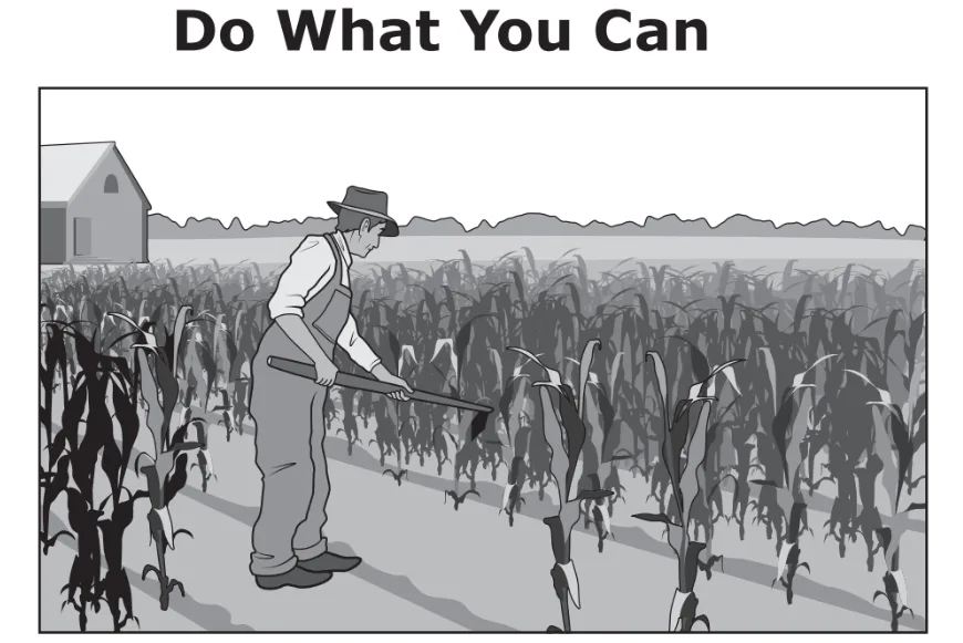 STAAR 2022 FICTION PAIRED PASSAGES 1st - 5th Grade Quiz | Wayground ...