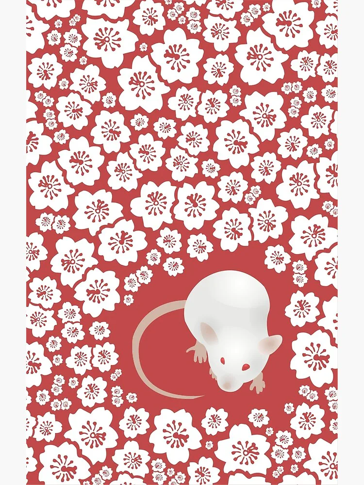 Unit 4 Sadlier Quiz 8th Grade Quiz | Quizizz