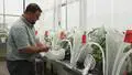 USDA-ARS Entomologists “Turn Up The Bass” On Vineyard Pests University ...