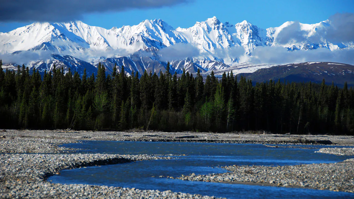 Unit 4 Biodiversity, Biomes and Succession Quiz