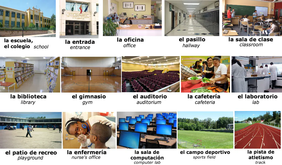 Los lugares en la escuela 9th - 12th Grade Quiz | Quizizz