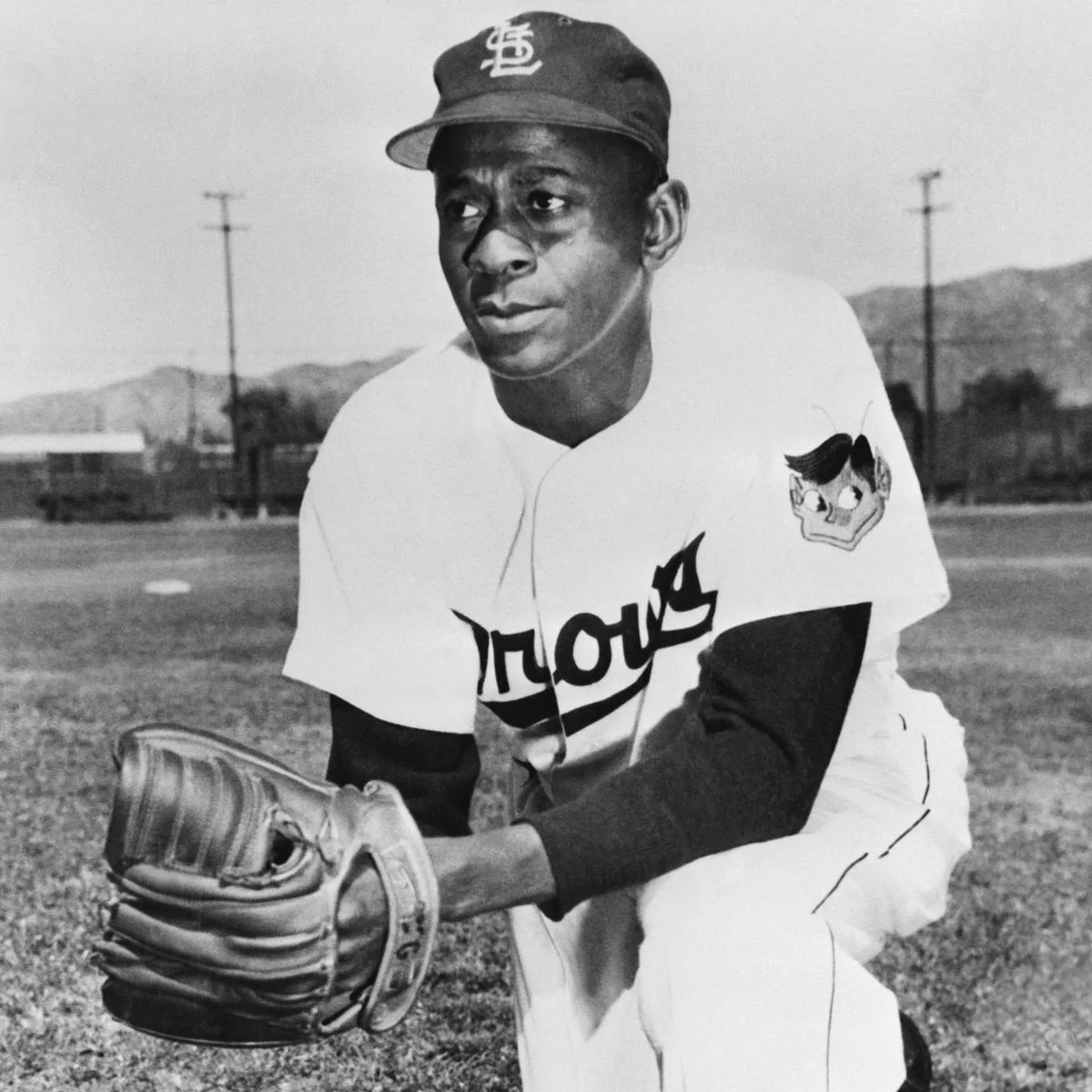 Satchel Paige Vocabulary 5th Grade Quiz | Quizizz