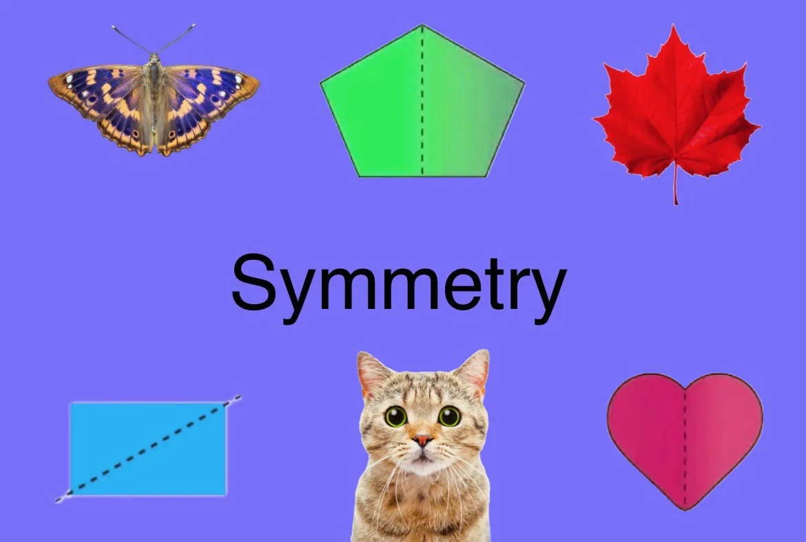 Symmetry 3rd Grade Flashcard | Wayground (formerly Quizizz)