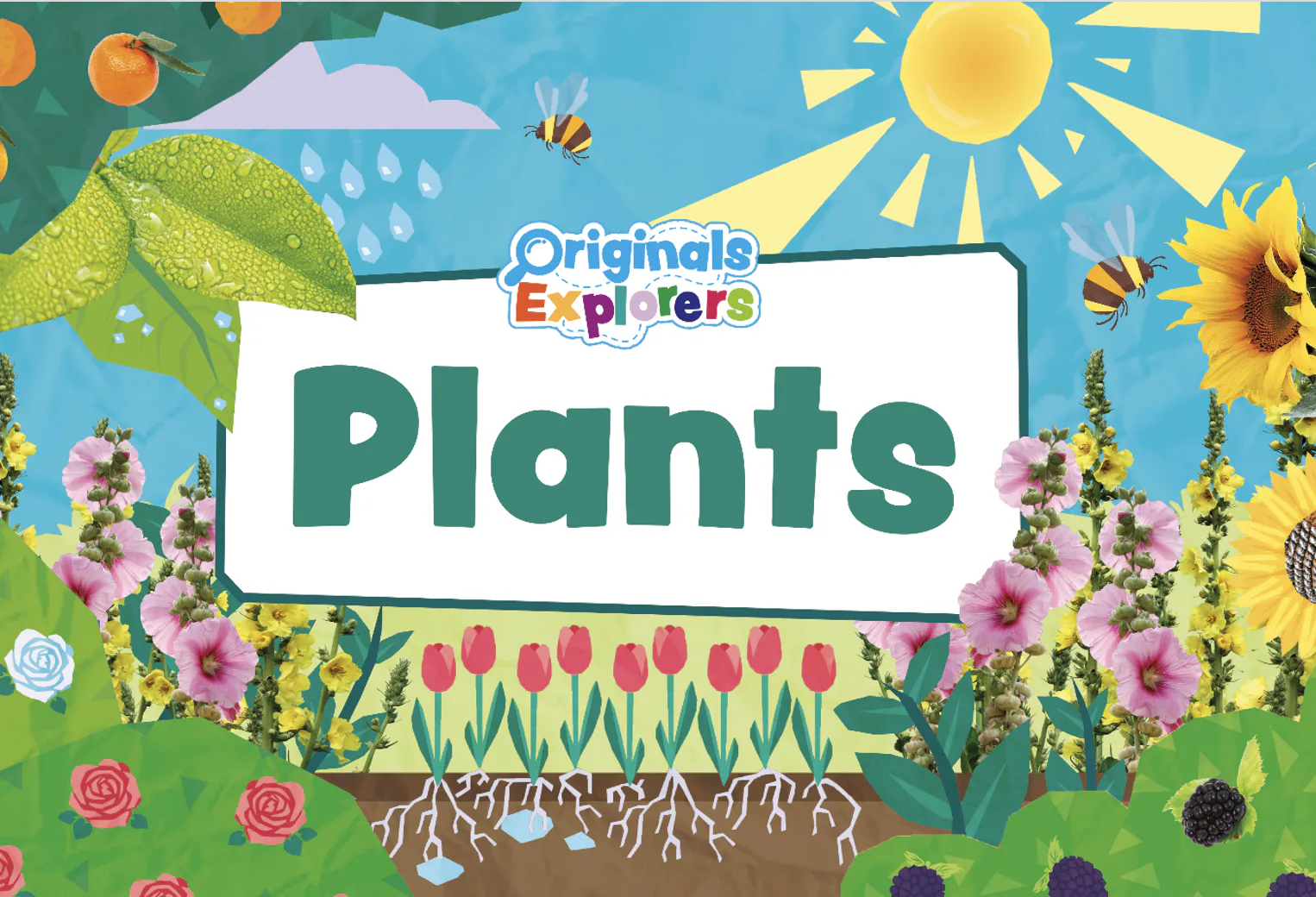 Science - Plants 2nd Grade Quiz | Quizizz