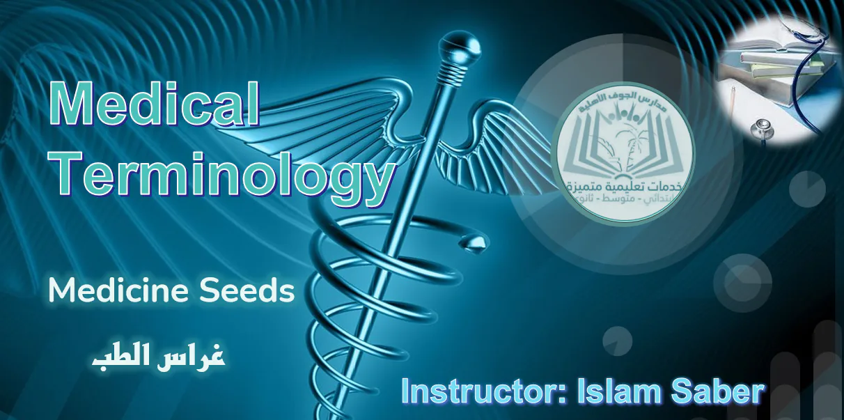 Medical Terminology Review 10th Grade Quiz | Wayground