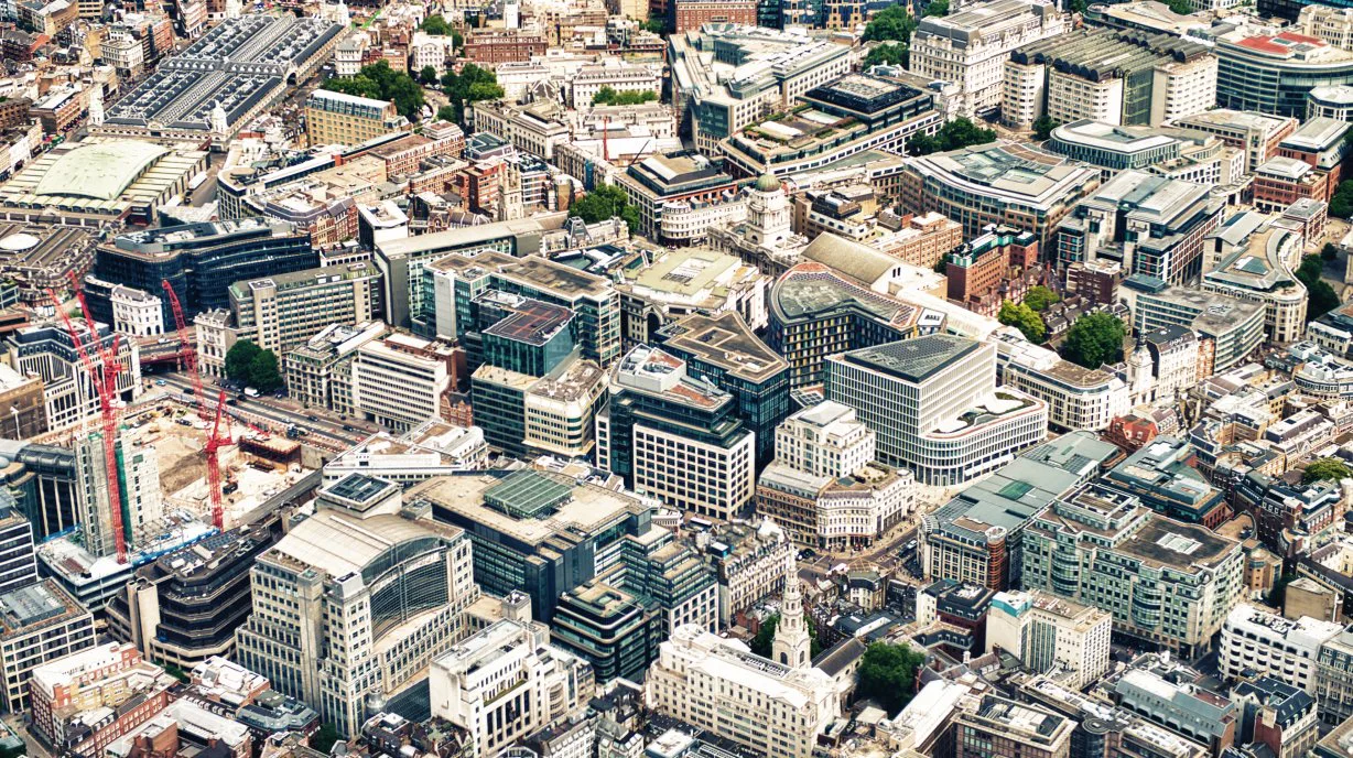 Chapter 10: Biodiversity 12th Grade Quiz | Quizizz