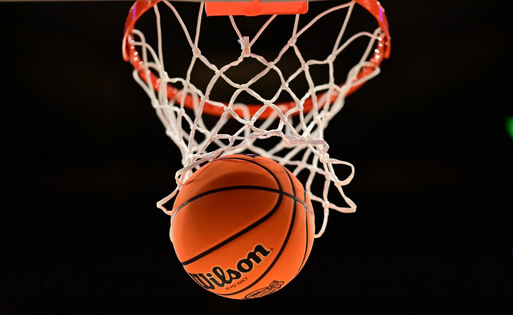 Quiz: Don't Just Sit There Like a Punk Quiz