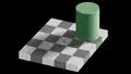 Understanding Color Illusions KG - University Video | Wayground