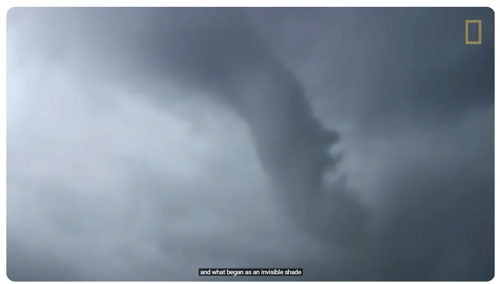 Understanding Tornadoes: A Quiz 5th Grade Quiz | Quizizz