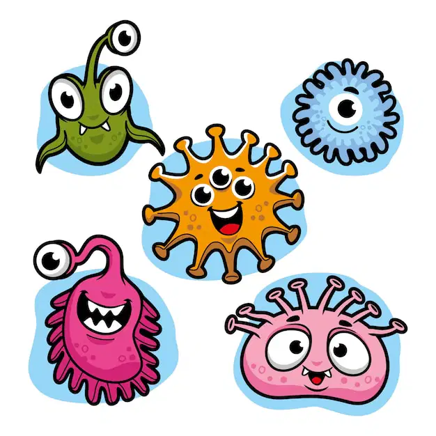 Communicable and Chronic Diseases: Germs Quiz