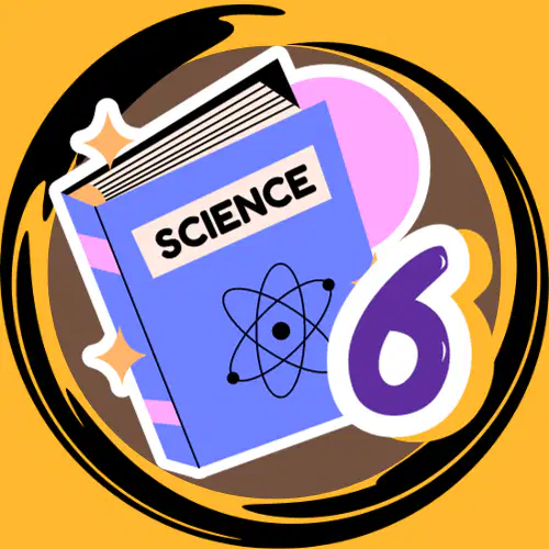 SCIENCE 6 - Q2 - Activity 2 - Blood and Blood Vessels 6th Grade Quiz ...