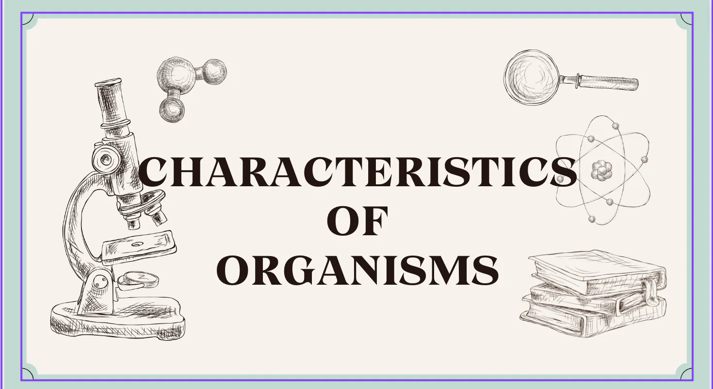 Classification of Organisms Quiz Quiz