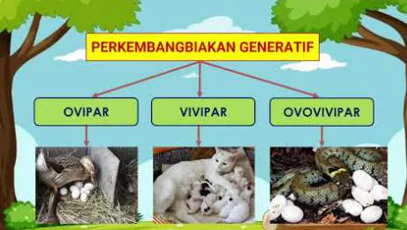 Pengelompokan Hewan dan Tumbuhan dalam Rantai Makanan Bacaan