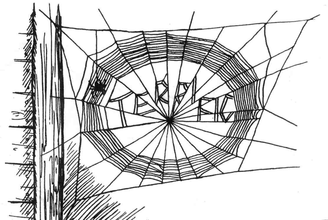 Charlotte's Web Chapters 5-9 Quiz