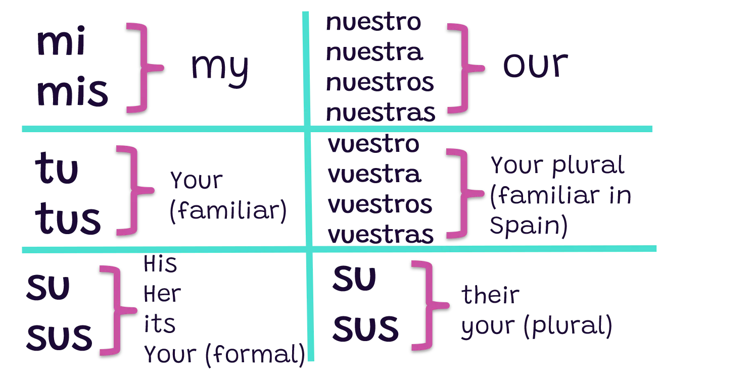 Possessive Adjectives Review Quiz