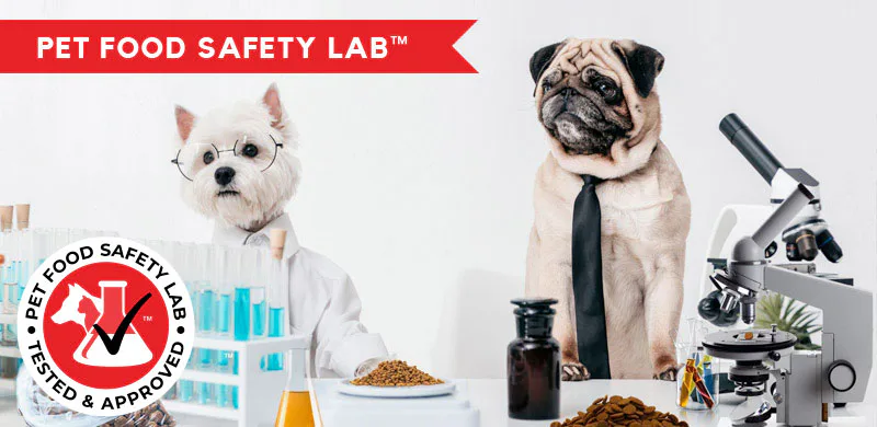 7th Grade Lab Safety! Quiz