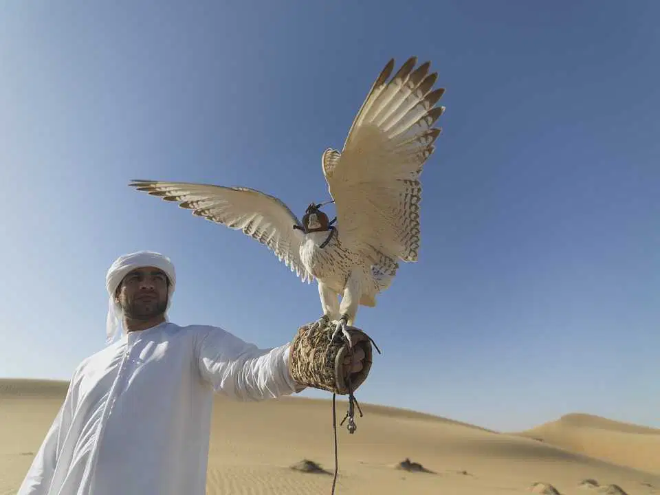 Understanding Emirati Culture Quiz