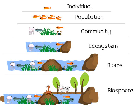 Ecological Levels of Organization Quiz