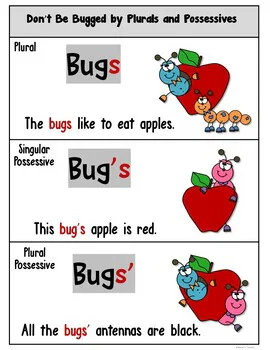 Plural and Possessive Nouns Quiz