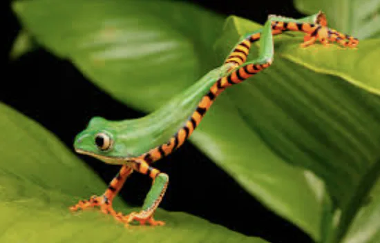 Sadlier Level B Unit 3 Definitions 7th Grade Flashcard | Wayground