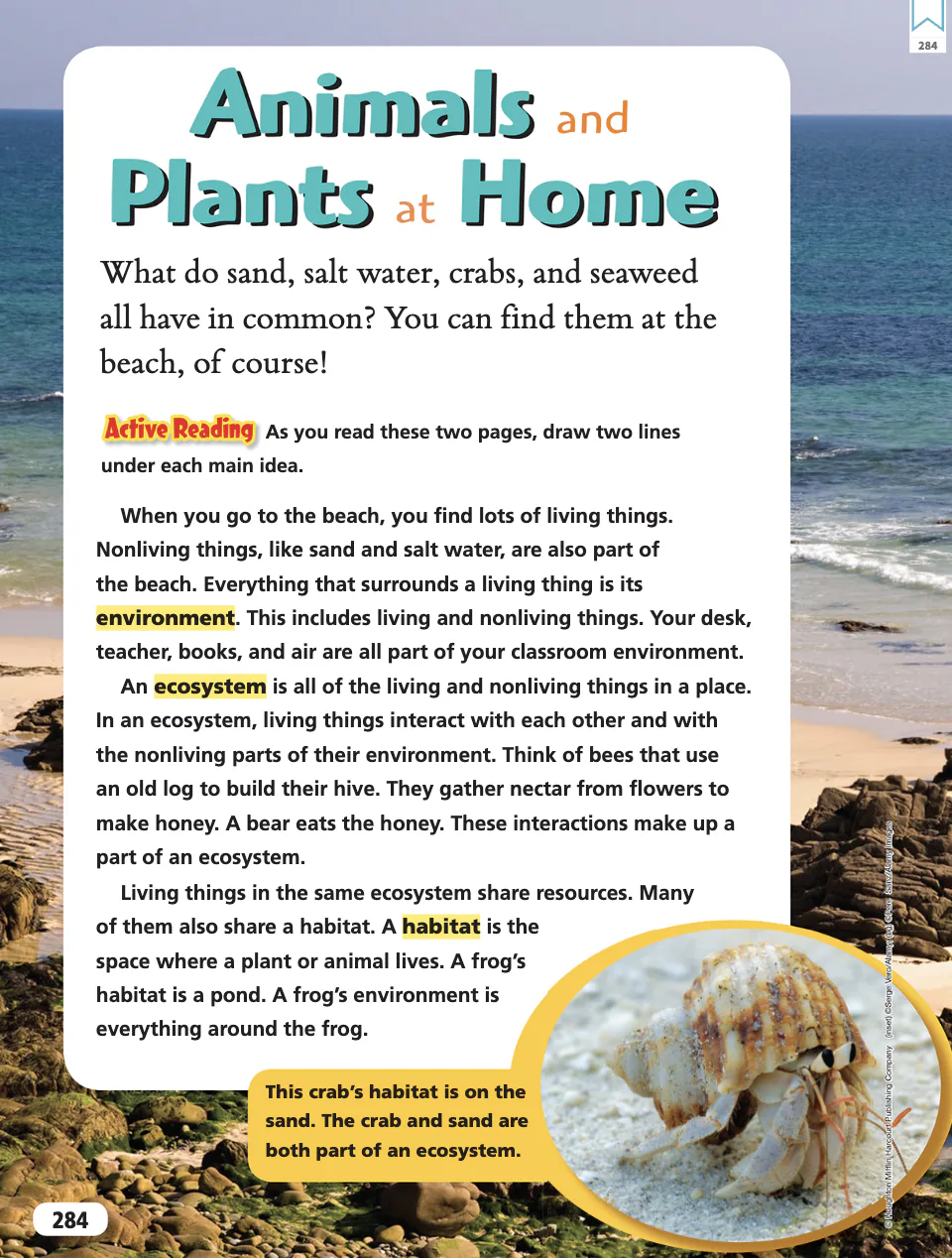 Science Unit 7 Lesson 1 Quiz