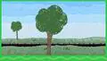 Math path 3rd - 5th Grade Video | Wayground