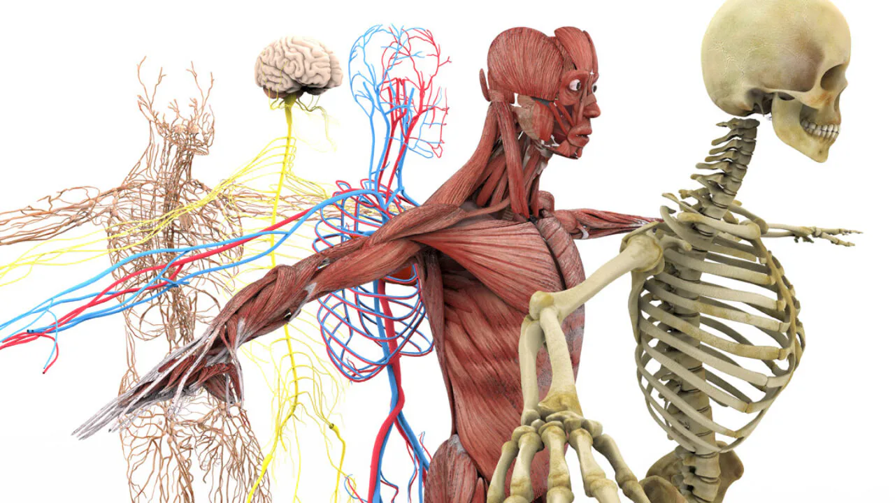 7th Grade Week 18 Benchmark 7th Grade Flashcard | Wayground