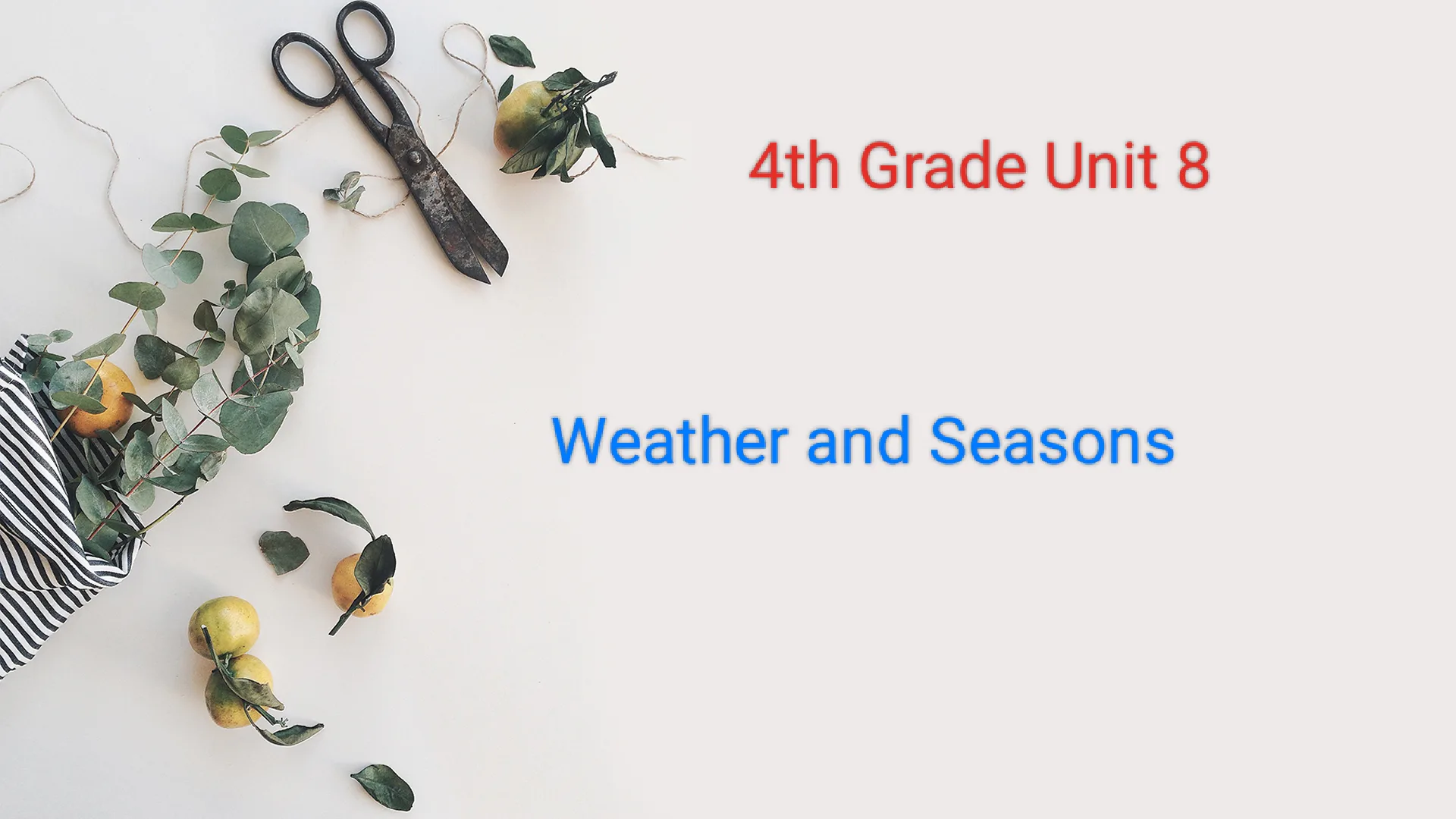 Wearher and Seasons 1st - 5th Grade Quiz | Wayground