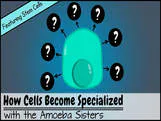 Cell Differentiation Quiz