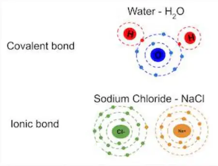 Covalent vs Ionic 9th Grade Quiz | Quizizz