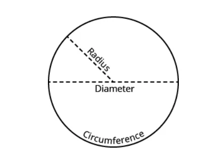 Ratio of Circumference and Diameter Equal Pi 7th Grade Quiz | Wayground