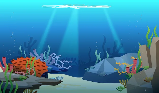 Oceanography Vocabulary 4th Grade Flashcard | Wayground (formerly Quizizz)