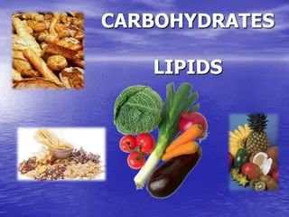 Carbs and Lipids 9th Grade Flashcard | Quizizz