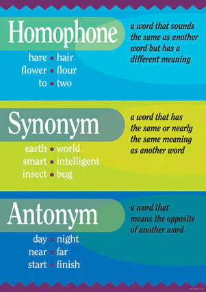 Synonyms Antonyms Homophones Quiz