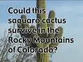 Adaptations: Surviving in Different Environments 10th - 12th Grade ...